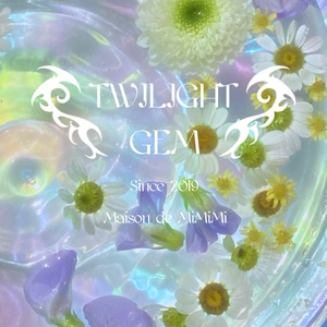 photo case - 𝐓𝐖𝐈𝐋𝐈𝐆𝐇𝐓 𝐆𝐄𝐌 - BOOTH