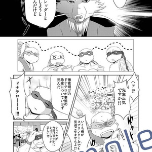 【TMNT】TMNT2018 Ferris Wheel - ayusakura - BOOTH