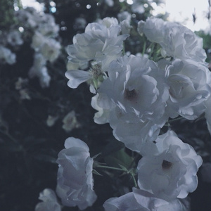 ばってん悪夢 シール - Jane Doe‘s memorandum - BOOTH