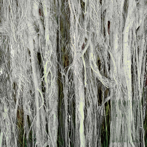 生温く真紅い歪な果実、蜜を啜るのは飽きたから腐る前に残さず食べましょう。仮に愛せなくても。 - otetsu - BOOTH