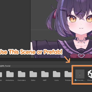 ShapeKey Manager for Unity - 🍓いちご🥛 - BOOTH