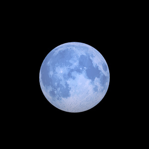 Cargo pants (試用版) - gale - BOOTH