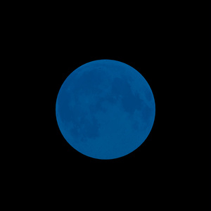 hoodie(試用版) - gale - BOOTH