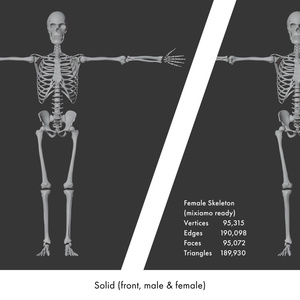 骸骨 素材に関する人気の同人グッズ166点を通販できる! - BOOTH
