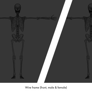 VRC Phys Bone 自動コライダー設定ツール - yukishima - BOOTH