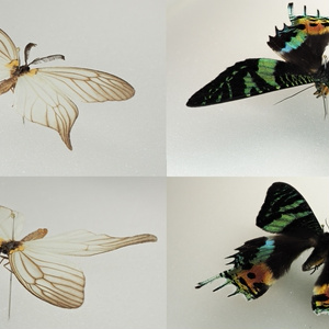 ドイツの城・街素材集 【分割販売】-第3パート- - Arbuscule - BOOTH