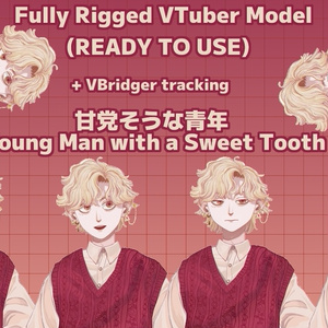 LOW POLY MODEL/ローポリ [VRM VROID] - moonyboy - BOOTH