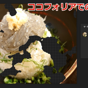 【UnityEditor拡張】にゃんにゃんアバターペインター（TextureModifyTool） - HOTATE's VIRTUALAB - BOOTH