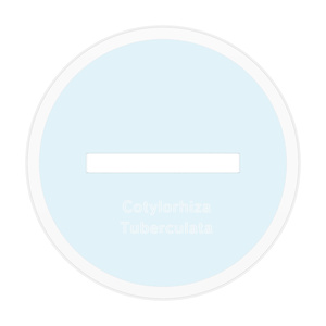 TRPGシナリオ用HTMLテンプレート【1】 - ねこさかな通信 BOOTH支部 - BOOTH