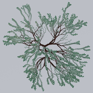 【無料】草原（blend,fbx） - shop-perch - BOOTH