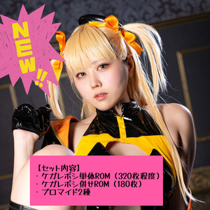 【C106 夏コミ】新刊ROMセット - toyosama - BOOTH