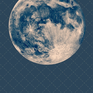 同人誌表紙作成[セミオーダー] - ina-b - BOOTH