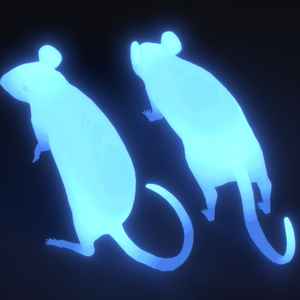 Mister - TORABA STORE - BOOTH