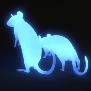 Mister - TORABA STORE - BOOTH