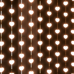 Bird - Toraba Store - BOOTH