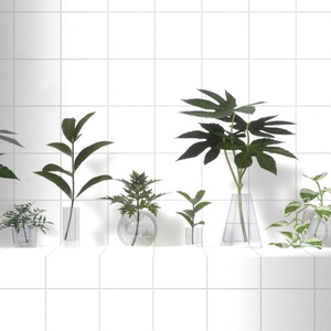 Botanical Diffuser ×10 - Toraba Store - BOOTH