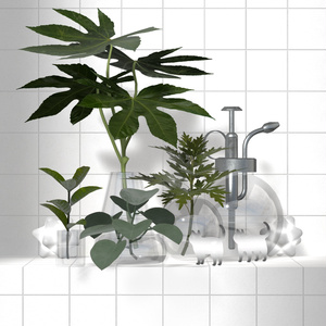 Botanical Diffuser ×10 - Toraba Store - BOOTH