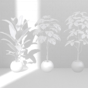 Fairylight Glass x12 - Toraba Store - BOOTH