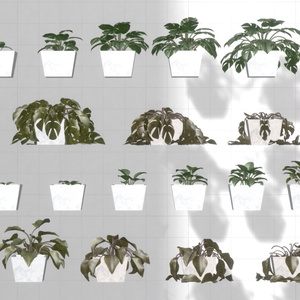 Lantern - Toraba Store - BOOTH