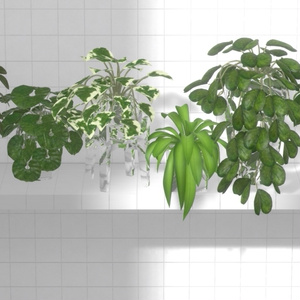 Botanical Diffuser ×10 - Toraba Store - BOOTH