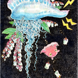 2026年福袋（5000円版） - 深海茶寮MEG - BOOTH