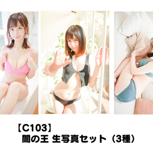 【C102】A3ポスター② - yaminoou - BOOTH