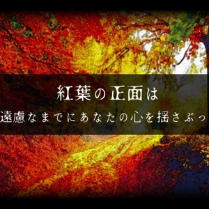 【CoC7th】人間浄瑠璃孤毒心中【ポットラックパーティー企画2023】 - ぴろしき生産工房 - BOOTH