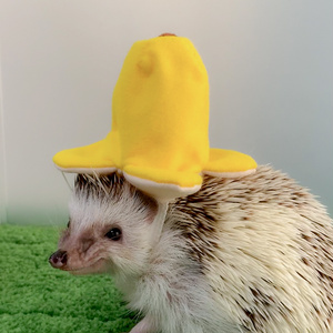 ハリネズミのHats & Caps 人気の同人グッズ7点を通販！話題のアニメやデザインから個性的で被らないアイテムが見つかる - BOOTH