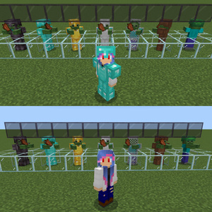 【JAVA・統合版】エリトラを目立たなくするリソースパック『Invisible Elytra』【Minecraft】 - 二之園 - BOOTH