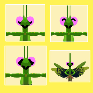 Bee! VRChat Avatar - Inevanable's VRChat Avatars and Assets - BOOTH