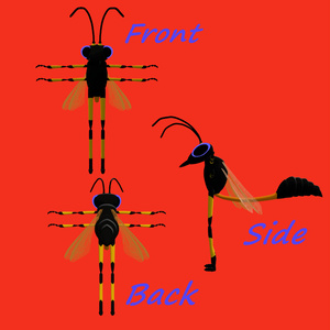 Bee! VRChat Avatar - Inevanable's VRChat Avatars and Assets - BOOTH