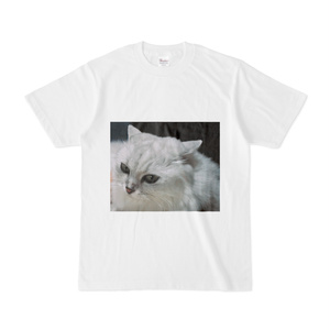 まんまるねこちゃん缶バッジ - neco-melon - BOOTH