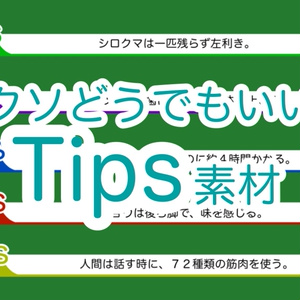 ココフォリアお部屋制作コミッション案内 - 鋼鉄重工/Fe2+ya - BOOTH