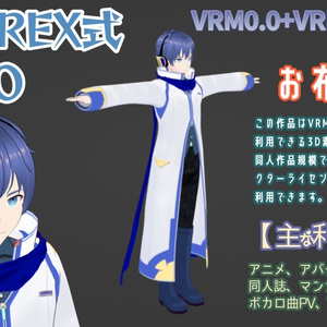 RIDEREX式 重音テト 3D お布施版【VRM0.0+VRM1.0+PMX】 - RIDEREX - BOOTH