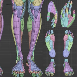 ケロロケ美術解剖学モデル - krrk anatomy - BOOTH