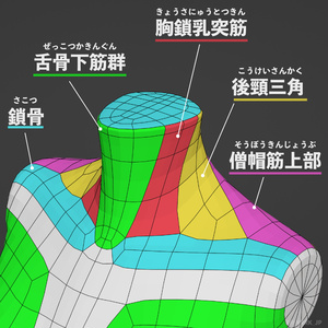 ケロロケ美術解剖学モデル - krrk anatomy - BOOTH
