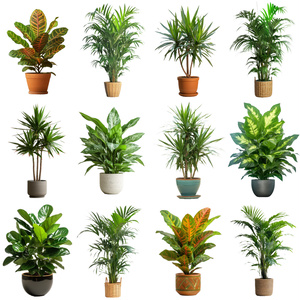 【背景素材60枚】カジノ/ラスベガス【ゲーム/TRPG背景素材/CoC/ココフォリア】 - sozaiya-create - BOOTH