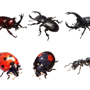 【透過素材25点】クリスマスアイテム（png） - sozaiya-create - BOOTH