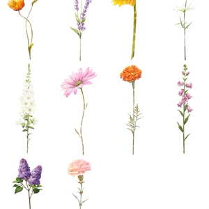 【2000枚超】無料背景（一括DL） - sozaiya-create - BOOTH