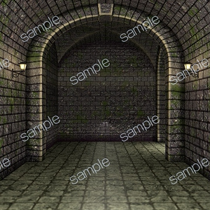 ダンジョンに関する人気の同人グッズ938点を通販できる! - BOOTH