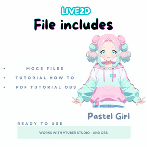 Middle Finger Vtuber Asset, Ready to use Vtuber Asset, Customizable ...