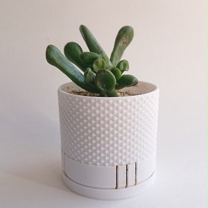 EXCEL 3次元散布図 - imo Lab. - BOOTH