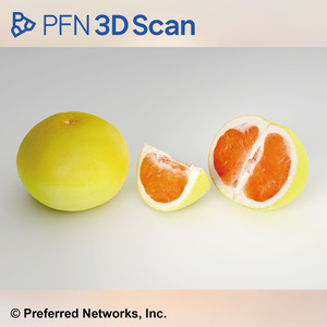 【PFN 3D Scan】野菜6種類セット - PFN 3D Scan 公式 - BOOTH