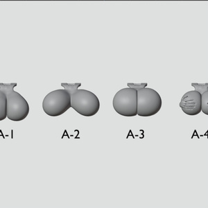 TB-012 メガミブレスト block2 swim-style 拡張用ボトムス - アルフのよろず - BOOTH
