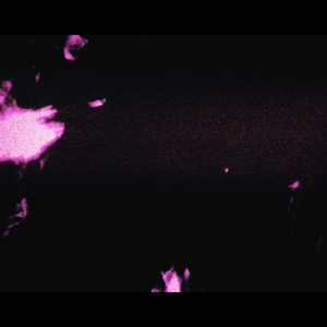 Trapcode Form チュートリアルで使用したプロジェクトファイル3 - d - BOOTH