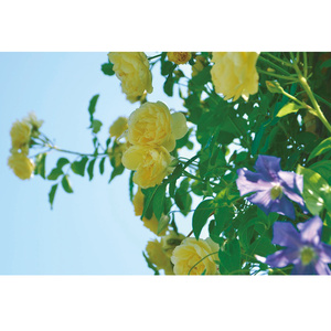 On the bed etc... - DandS - BOOTH