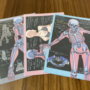 A4半透明クリアファイル(Insights) - 畳＠loop - BOOTH