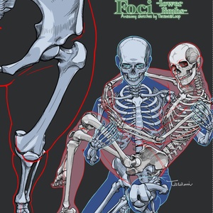A4半透明クリアファイル(Insights) - 畳＠loop - BOOTH