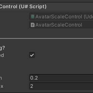 Avatar Scale Control