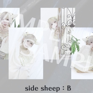 ブロマイド side cat：A - - BOOTH